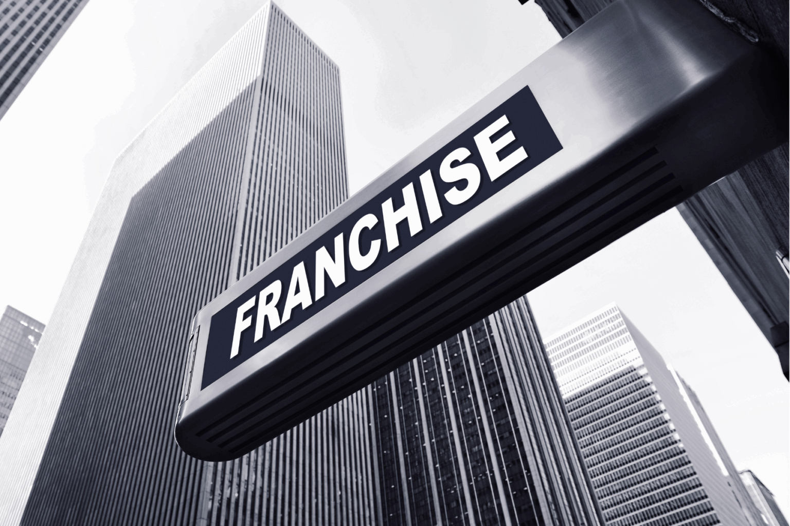 What Is a Franchise? A Guide to Franchising and Franchise Law